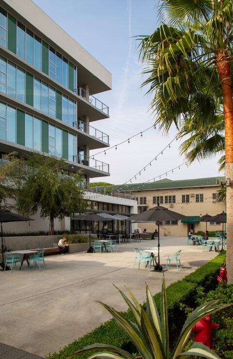 About | THE LOT AT FORMOSA