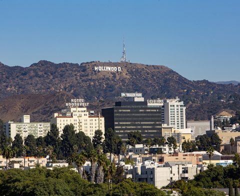 About | THE LOT AT FORMOSA